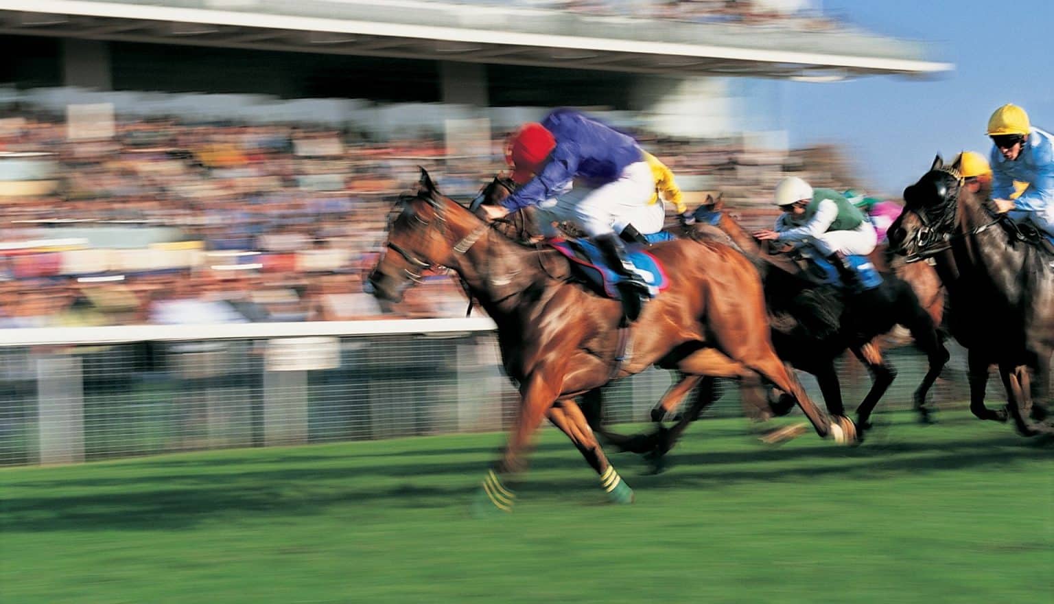 Quelles courses sur l’hippodrome de Cagnes-sur-Mer