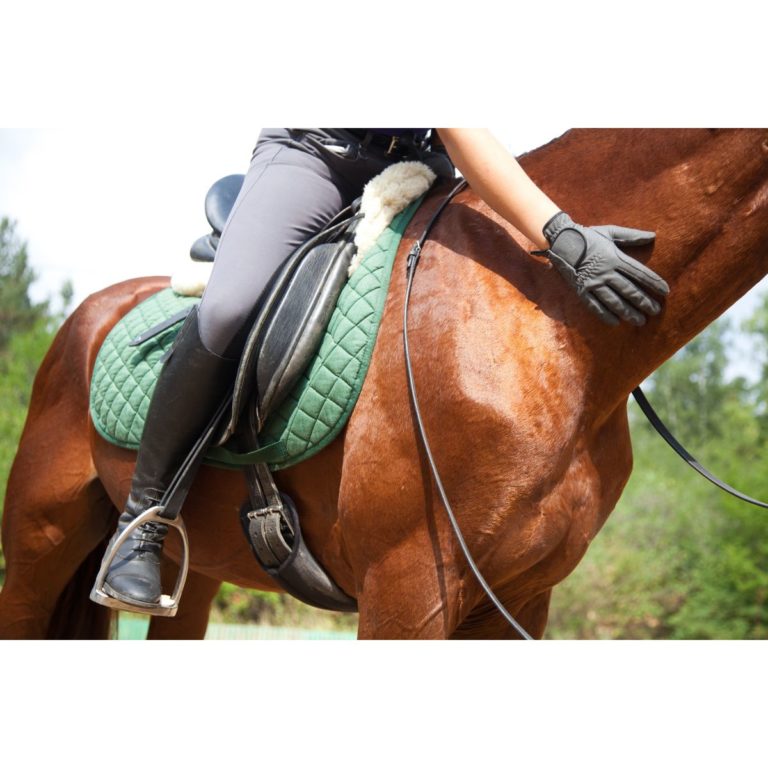 Le Pari Jeu Simple au PMU : Parier au Jeu Simple gagnant et placé