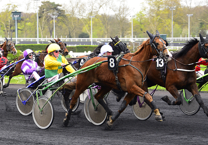 Arrivée du quinté du mardi 14 janvier 2025 à Vincennes