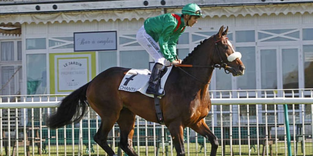 Arrivée quinté du mardi 30 septembre 2025 à Chantilly