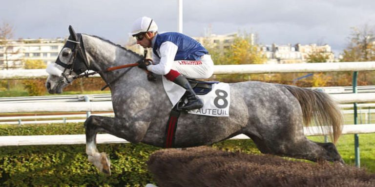Arrivée quinté du dimanche 12 octobre 2025 à Auteuil