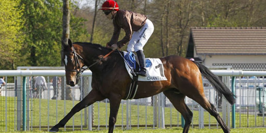 Arrivée du quinté du mardi 28 octobre 2025 à Chantilly
