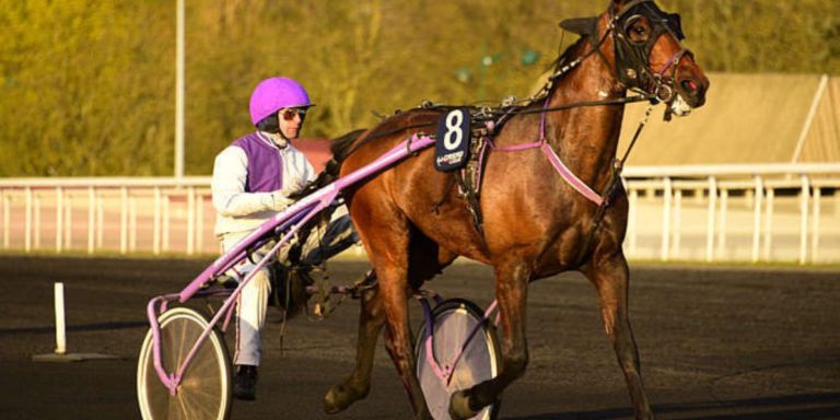 Quinté lundi 1er juin 2026 à Vichy: Pronos TURF FR