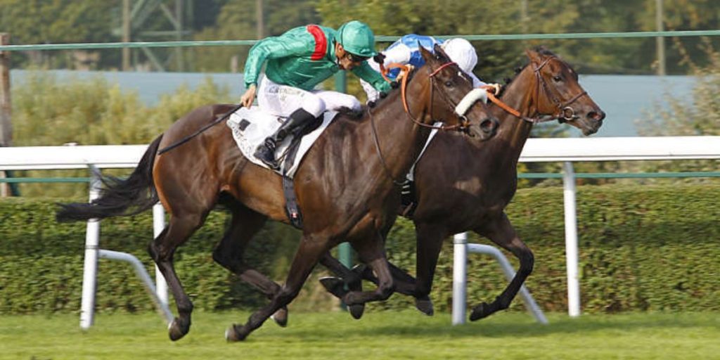 Quinté mardi 2 juin 2026 à Saint-Cloud: Pronos TURF FR