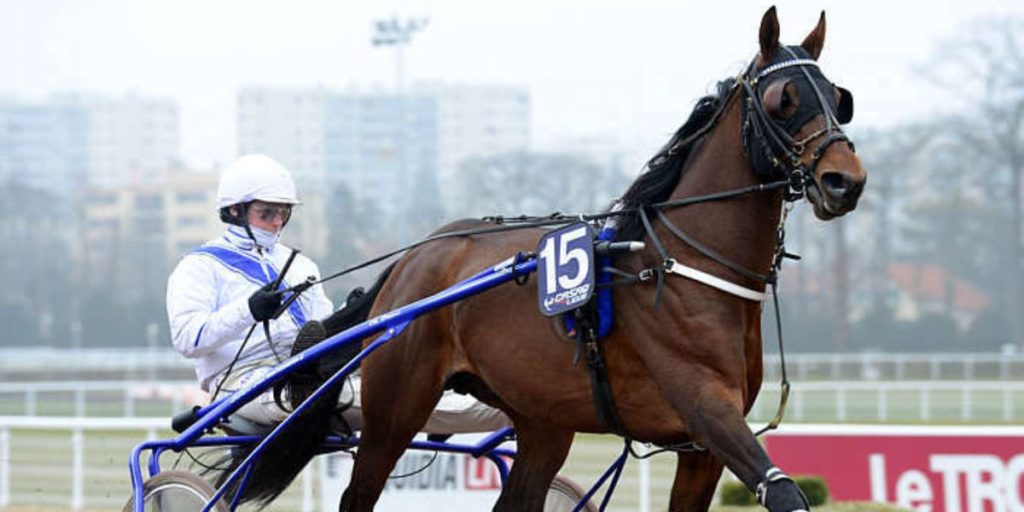 Quinté lundi 11 mai 2026 à Vichy: Pronos TURF FR