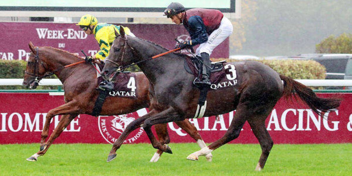 Quinté jeudi 4 juin 2026 à Longchamp: Pronos TURF FR