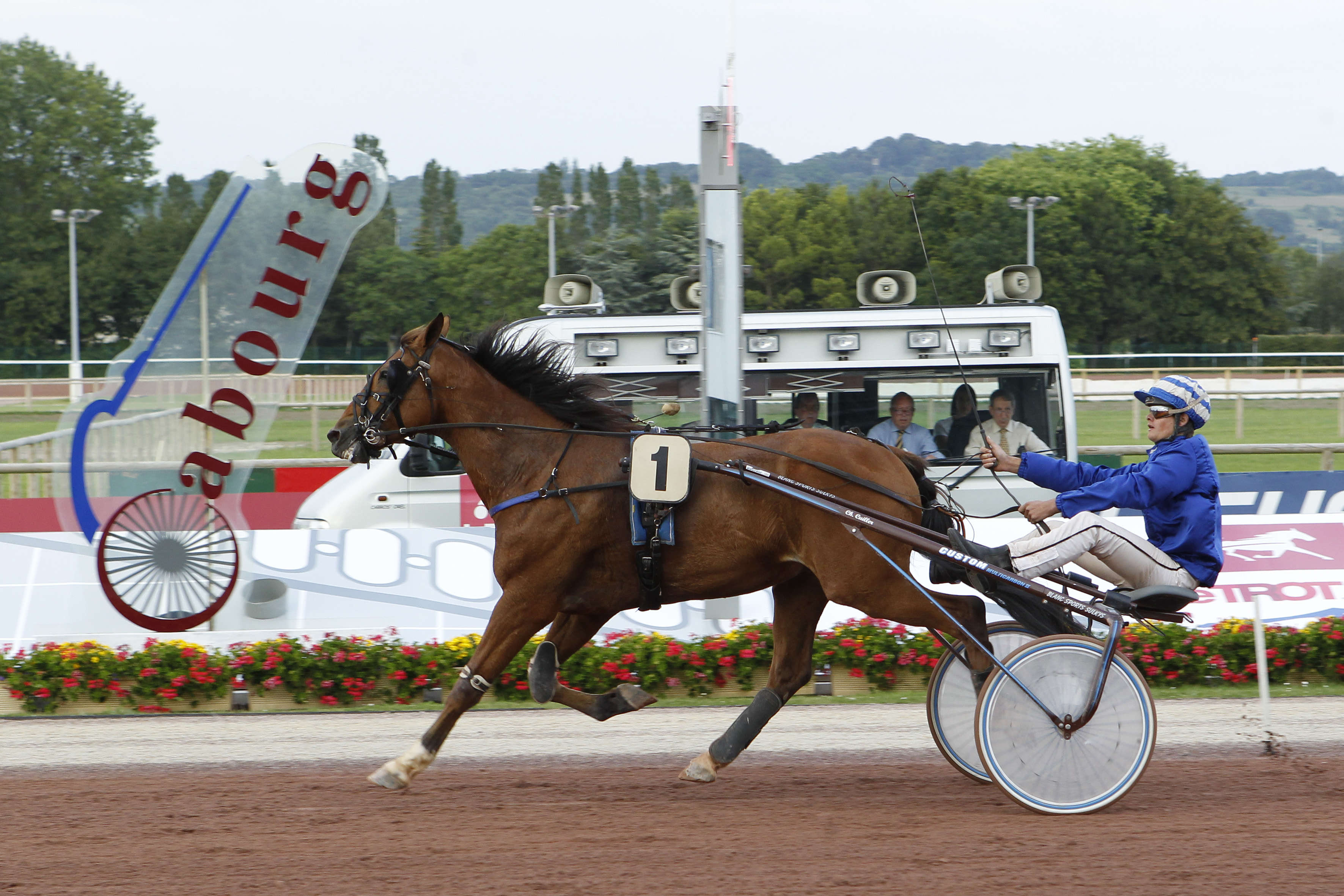 TURF FR : PMU, Courses PMU, Paris, Pronostics & Résultats