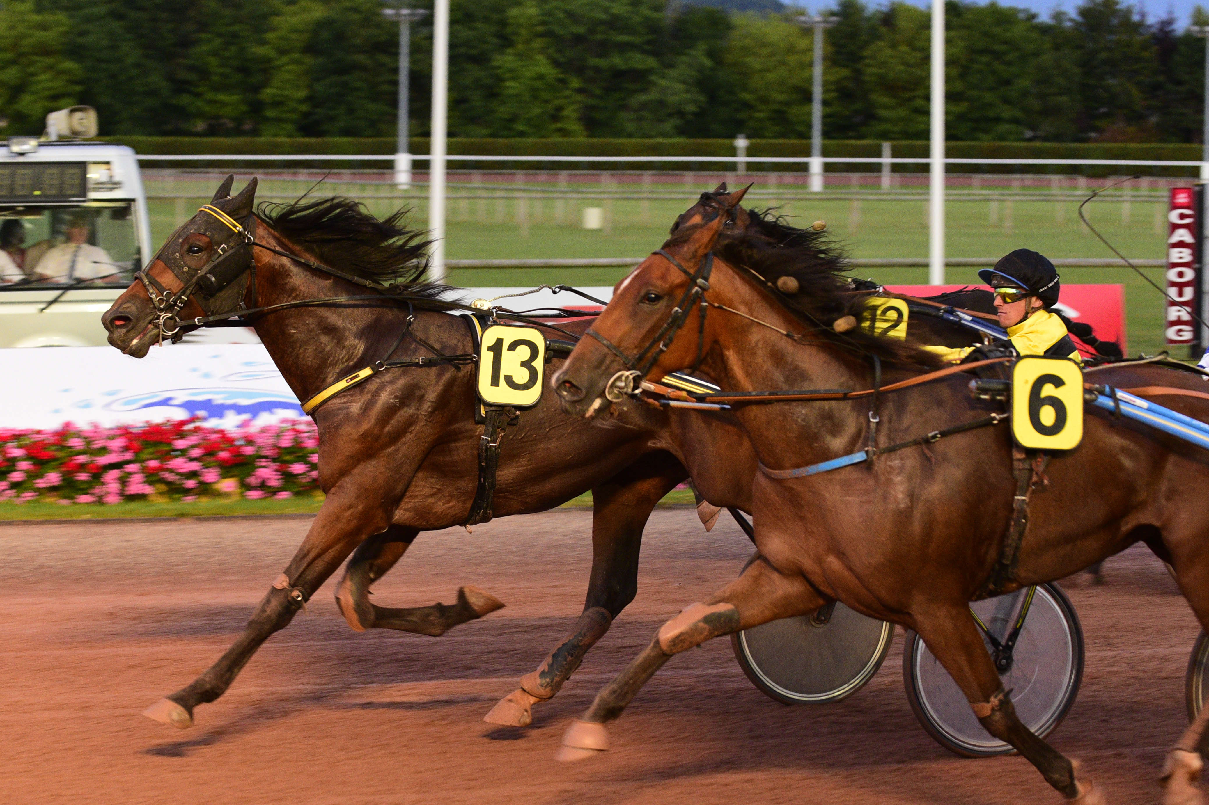 Résultats PMU Grand Prix du Conseil Departemental de l le 15 Mars 2022 ...