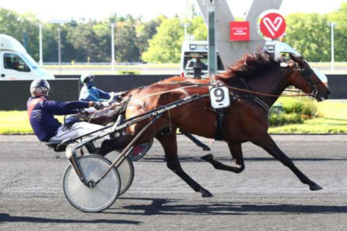Résultats PMU Prix de Bourigny le 03 Décembre 2020 - TURF FR Résultats PMU Prix de Bourigny le 03 Décembre 2020 - TURF FR