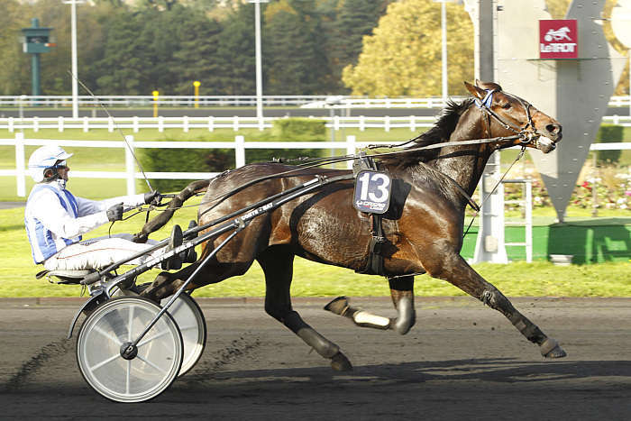 Les plus joués PMU : Prix du Croise-Laroche à Vincennes - Jeudi 01 ...