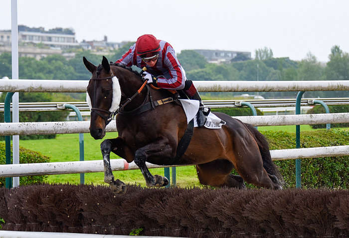 Résultats PMU Prix des Peupliers le 30 Juin 2025 - TURF FR