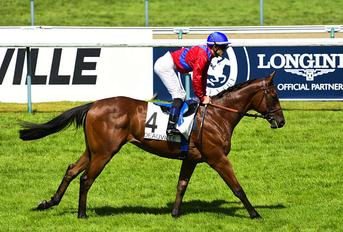 Résultats PMU Prix Pierre Cadeau le 06 Avril 2025 - TURF FR