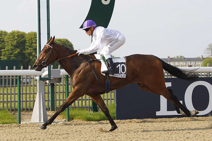 Partants PMU : Prix de l'Operation Neptune (R1C8) à Deauville - Mardi ...