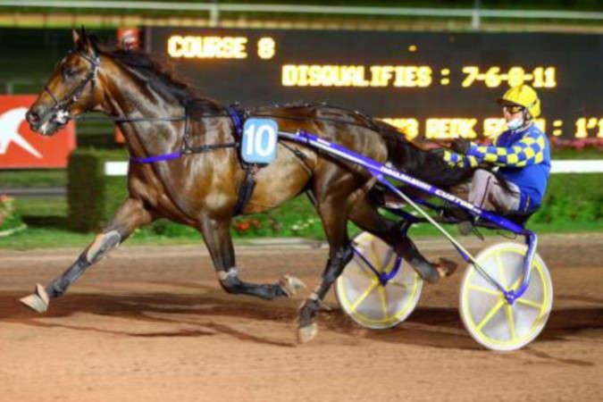 Résultats PMU Prix de Bourigny le 02 Décembre 2021 - TURF FR Résultats PMU Prix de Bourigny le 02 Décembre 2021 - TURF FR