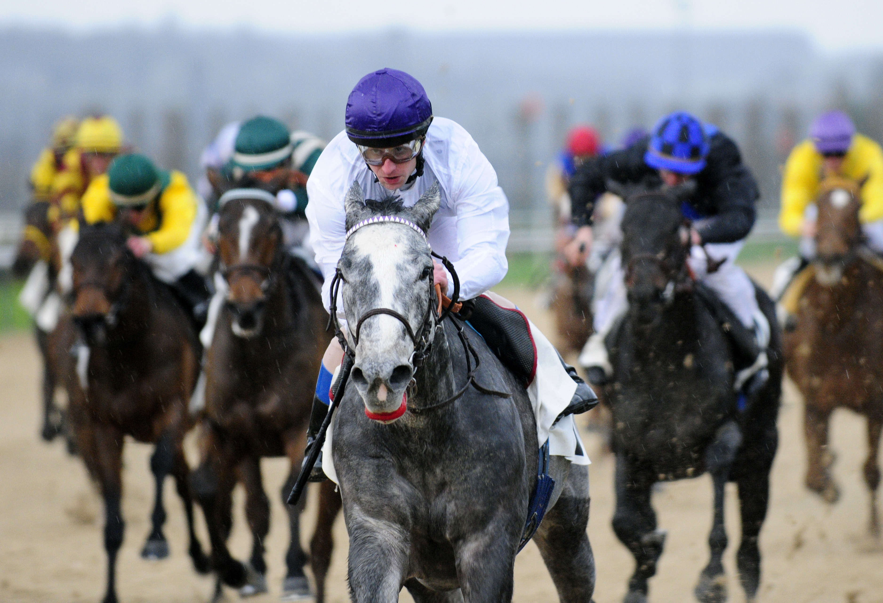 Résultats PMU Prix du Treport le 04 Février 2023 - TURF FR